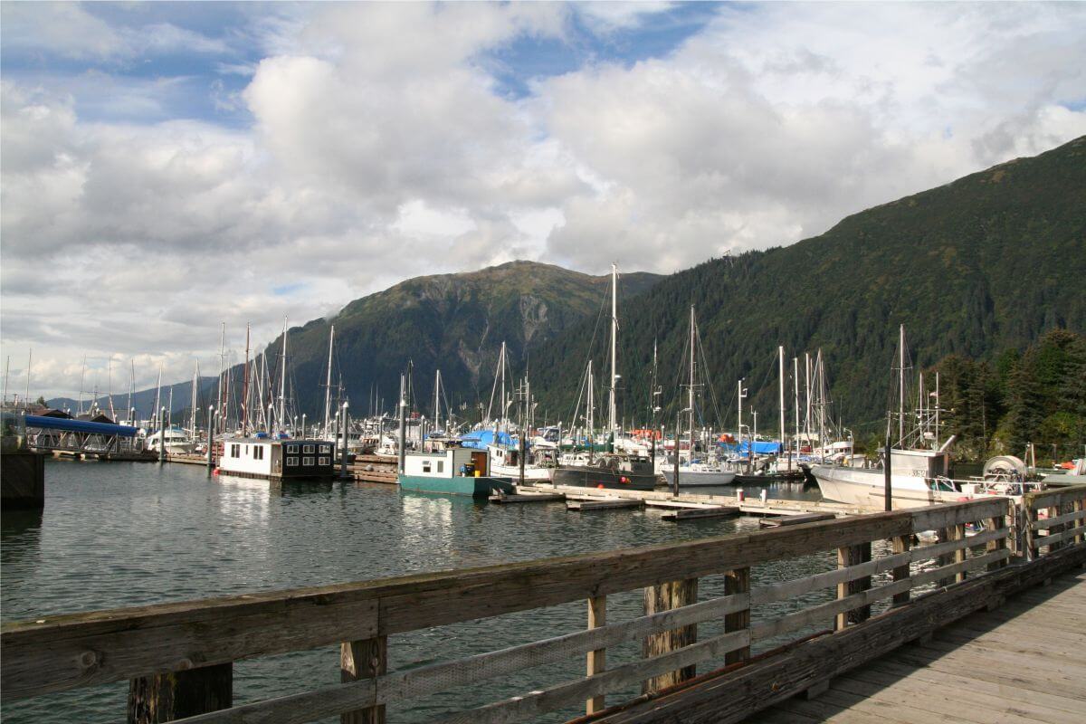 Start Booking Your Summer 2021 Juneau Vacation and Save