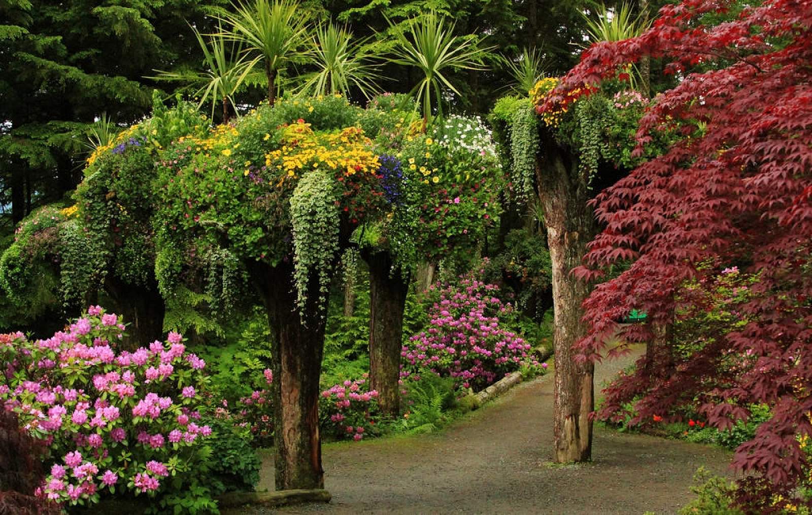 Juneau Events Calendar 2024: What's Happening Near Your Stay